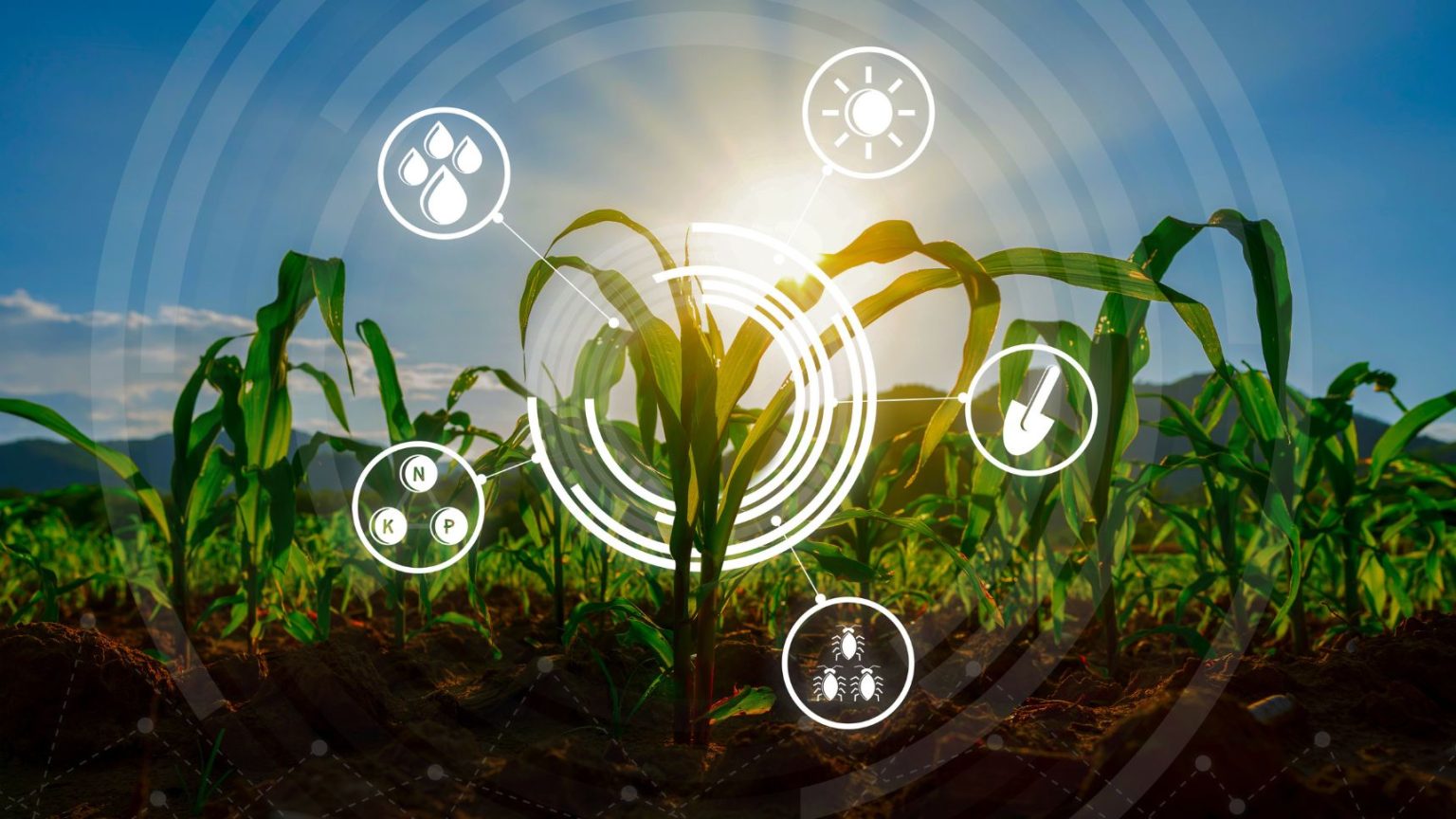 Agri-Smart Analytics could bond traditional farms with smart farm ...